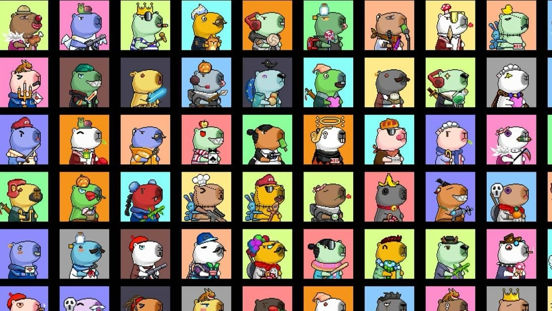 Unlocking the Capybara Craze: Your Guide to the Launchpad Extravaganza ...