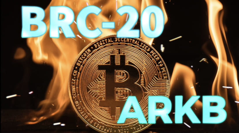 BRC20 inscription market situation: opportunities and risks | Ordinals-BRC20-Runes on Binance Square