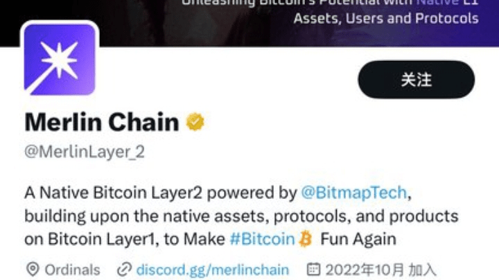 [Strategy on IPO of Merlin Chain in the Bitcoin Ecosystem] | 币资讯 on ...