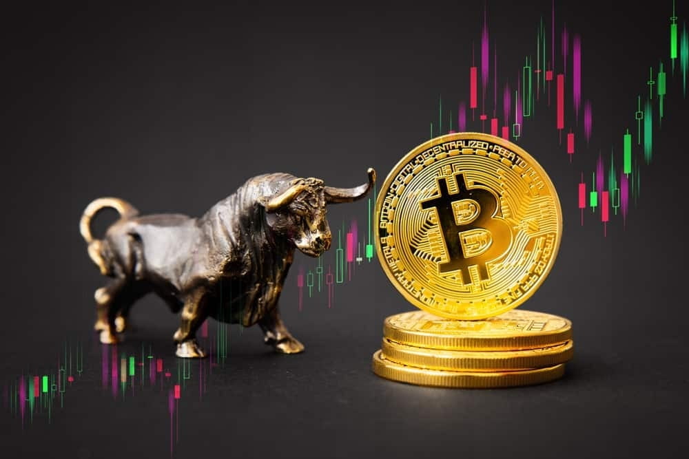 💰 Pantera Capital Predicts Crypto Bull Run 🚀 Pantera Capi | Gutsul ...