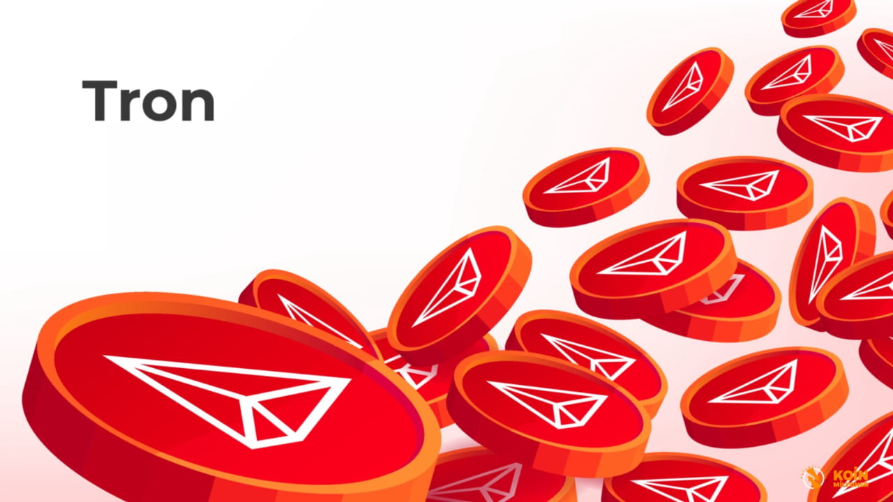 TRON et une chaîne compatible EVM ont annoncé une coopération pour ...