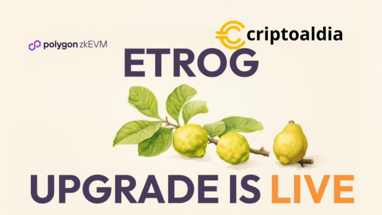 Etrog for Polygon zkEVM represents a significant step forward in network evolution | Criptoaldia ...
