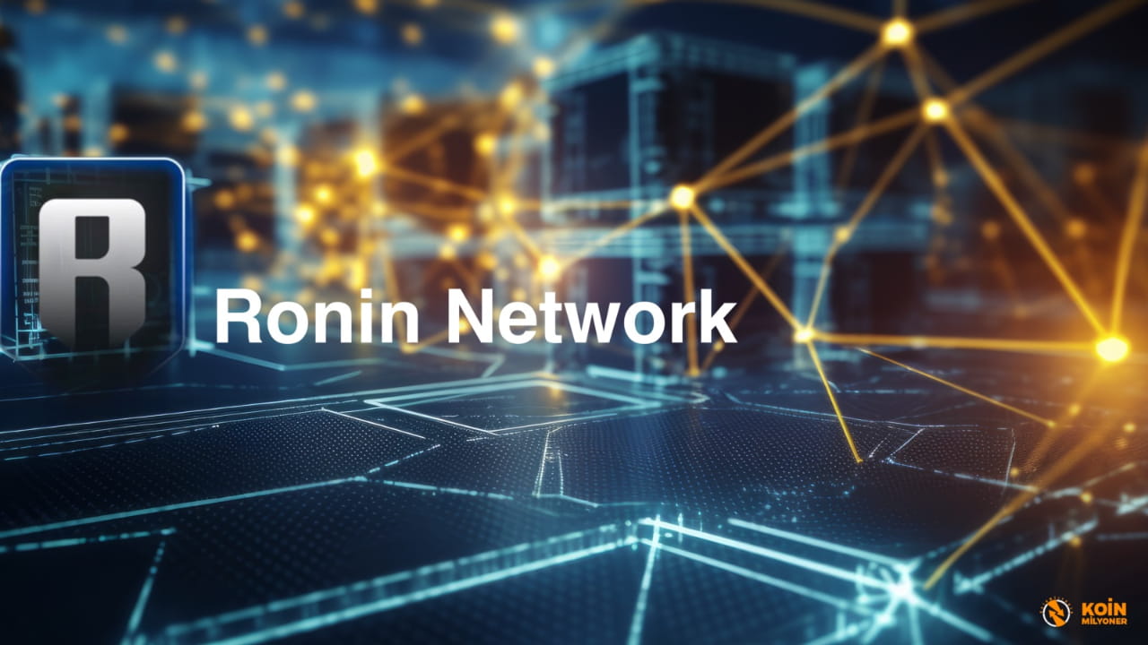 The Rally for Ronin Token (RON) Remains Stable Following Binance ...
