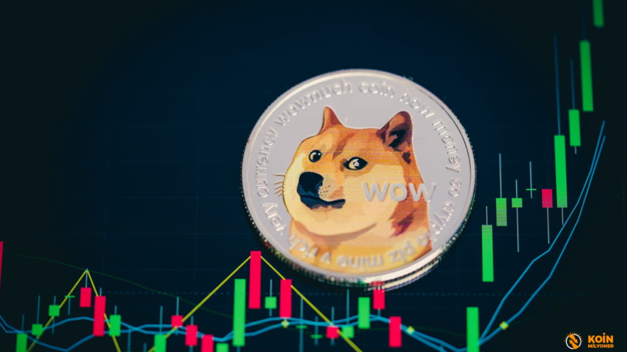 Dogecoin pricing experiences small increases despite surge in network ...