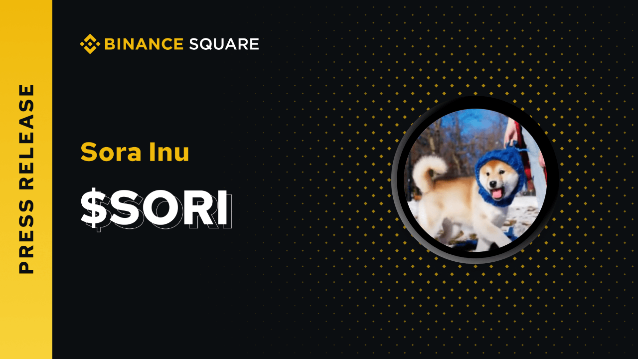 Introducing Sora Inu: This meme coin surged 1,450% in just 4 hours ...