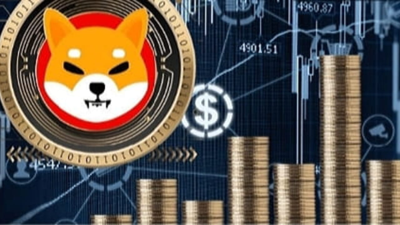 $SHİBA INU (SHIB) February 23, 2024 Shiba Inu Whale Activi | Handsome ...