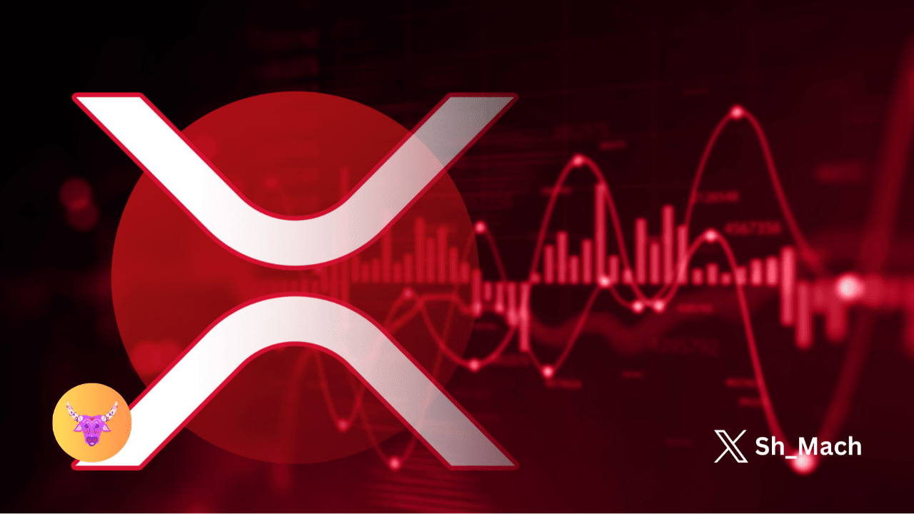 Ripple’s XRP February dump update | Kri on Binance Square