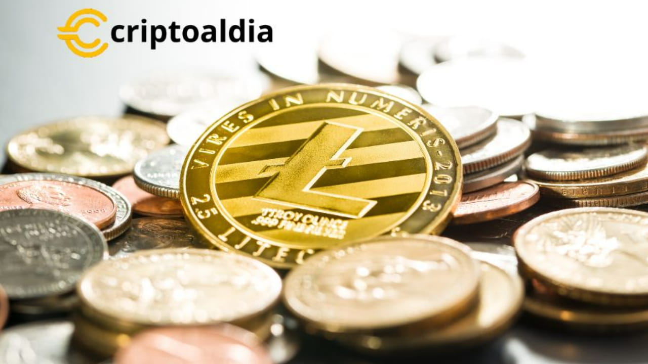 Rise in Litecoin price from its all-time low | Criptoaldia on Binance ...