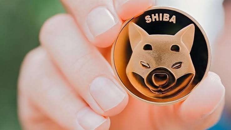 The future of Shiba money; Shiba Inu (SHIB) is a young cryp ...
