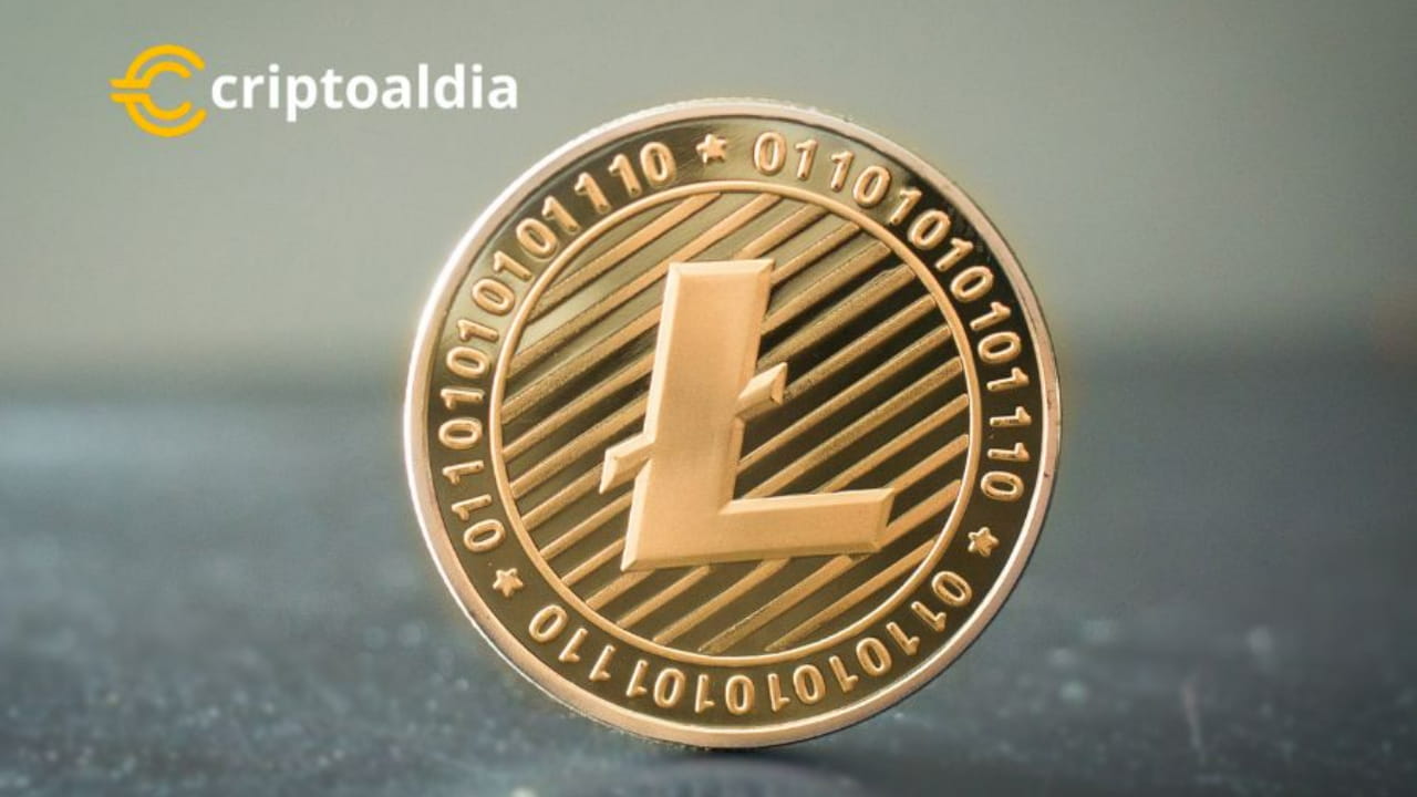 The rise of Litecoin from its historic low | Criptoaldia on Binance Square
