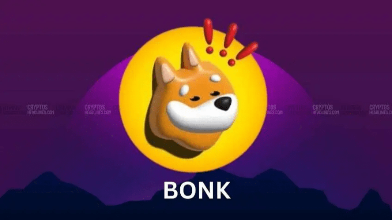 Analyzing the Future: Bonk Coin, Dogecoin & Price Predictions Reveale ...