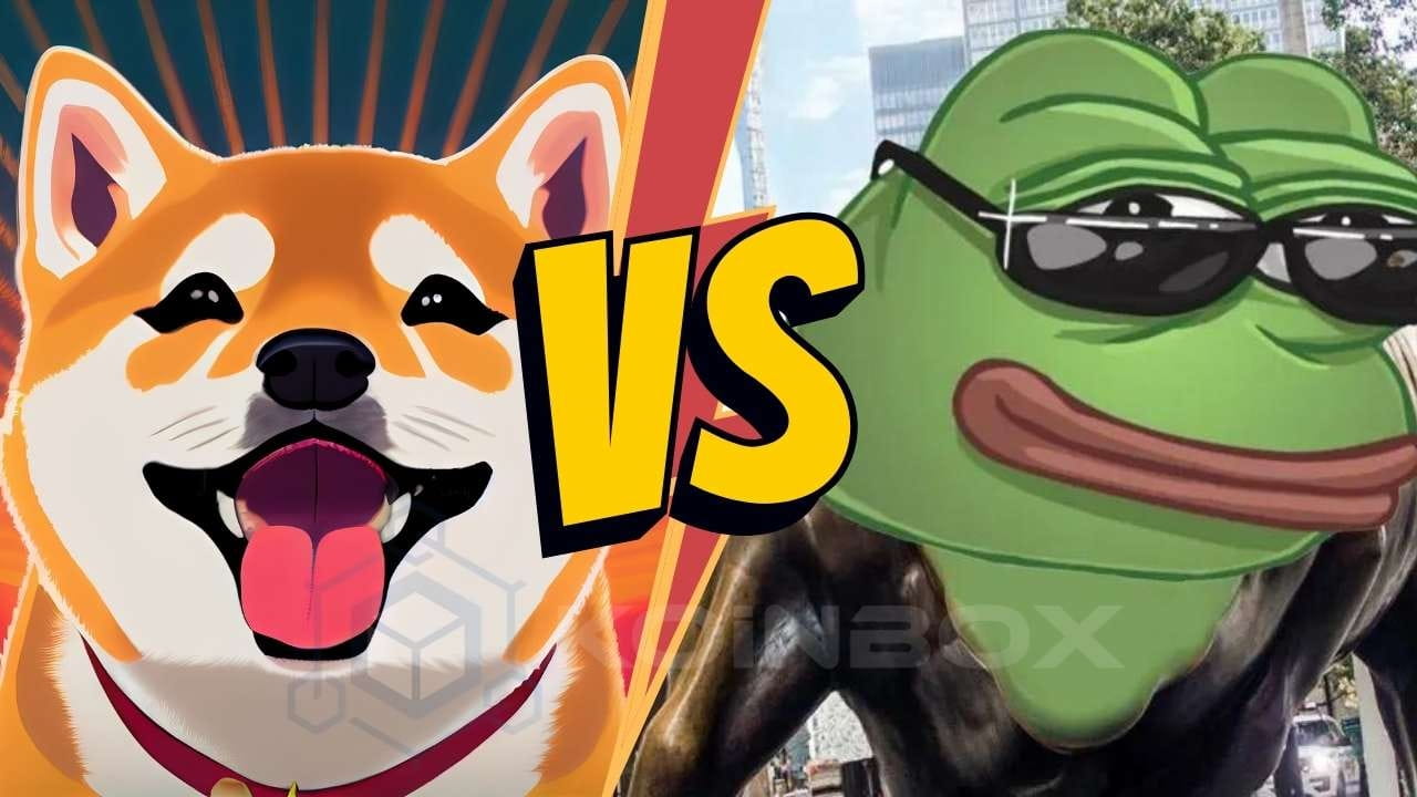 $PEPE $BONK Big fight🤑🤑🤑 | Fukara_Balina on Binance Square