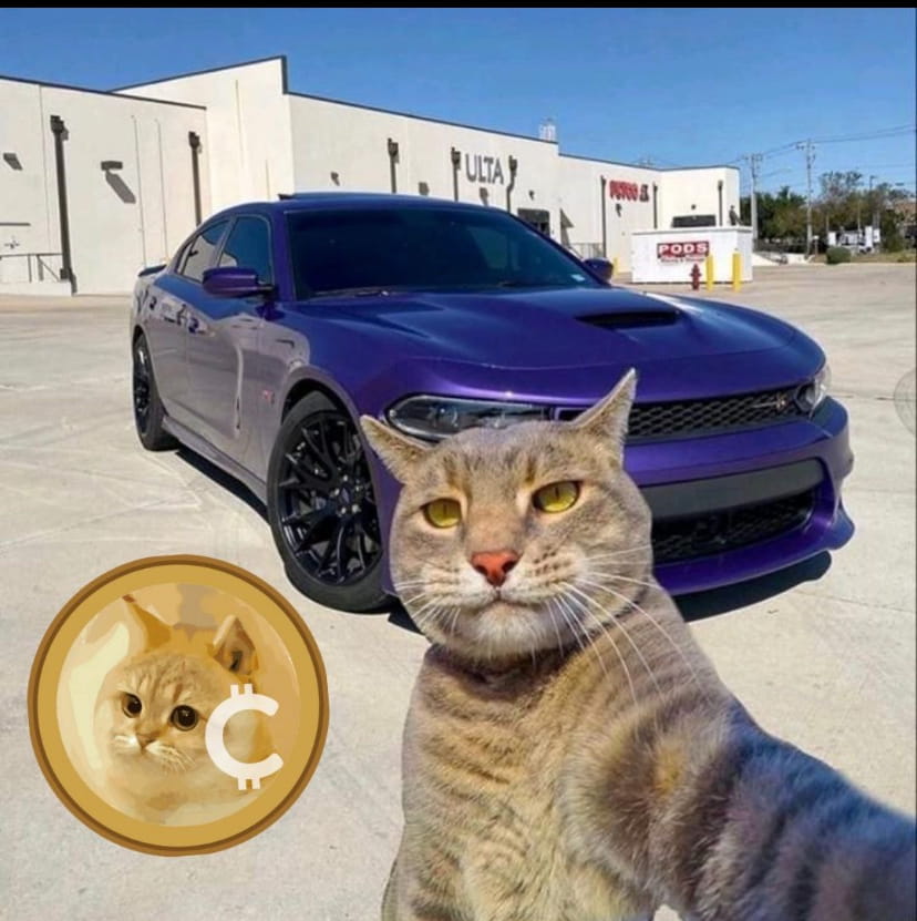 $SOL 144 Alias sun. New World Order. $YGG is a currency t | 滿倉梭哈 on ...