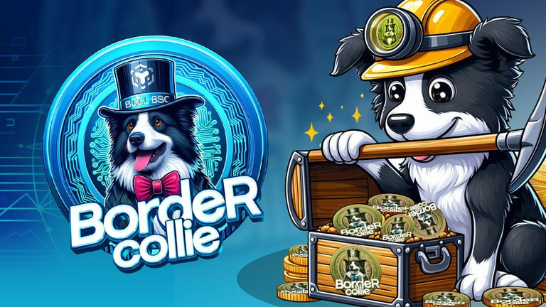 Border Collie BSC: Wagging into the Cryptosphere with Memecoin Magic ...