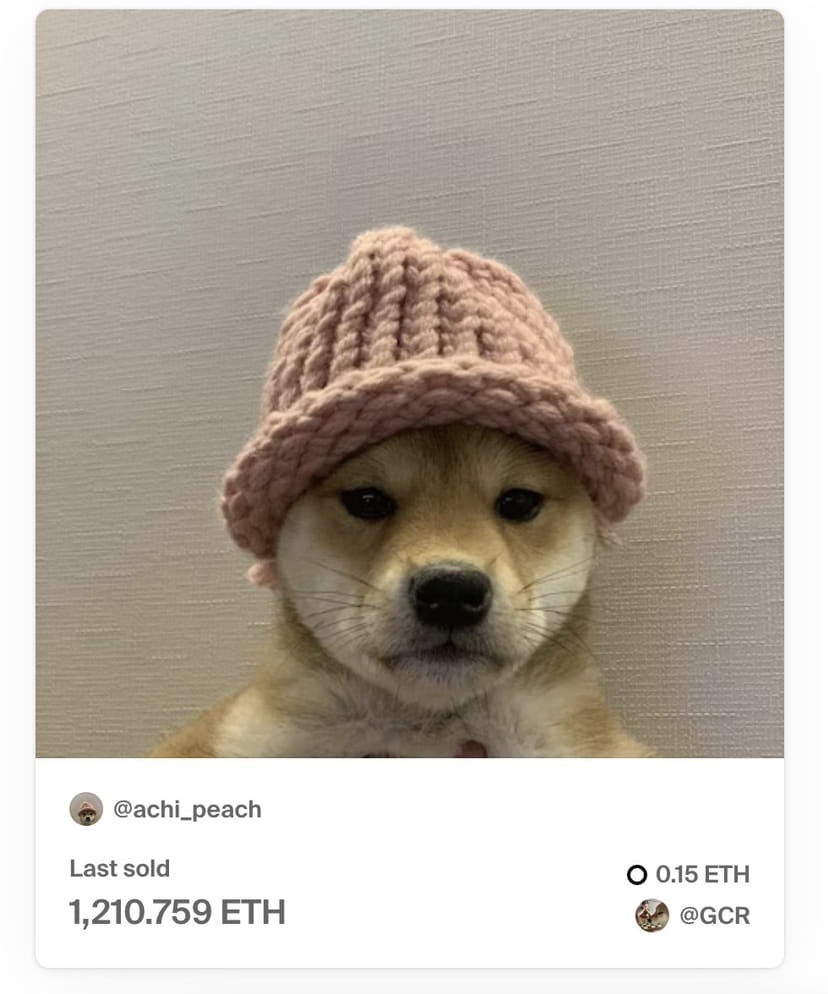 ACHI, THE DOG WIF HAT" - $WIF NFT SOLD FOR 1,210.759 $ETH (~ | X mucaN ...