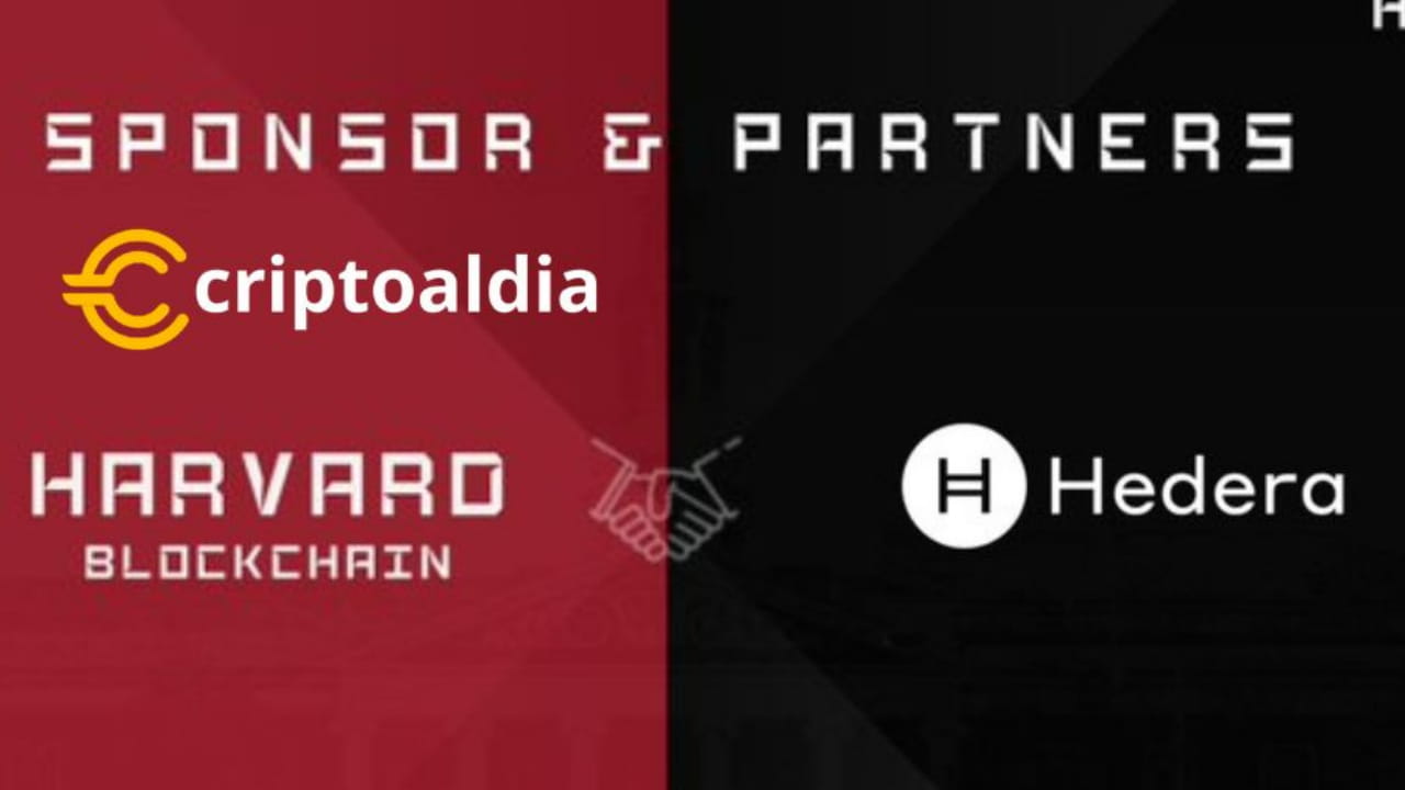 Hedera Leads the Way at Harvard Blockchain Conference HBC2024 ...
