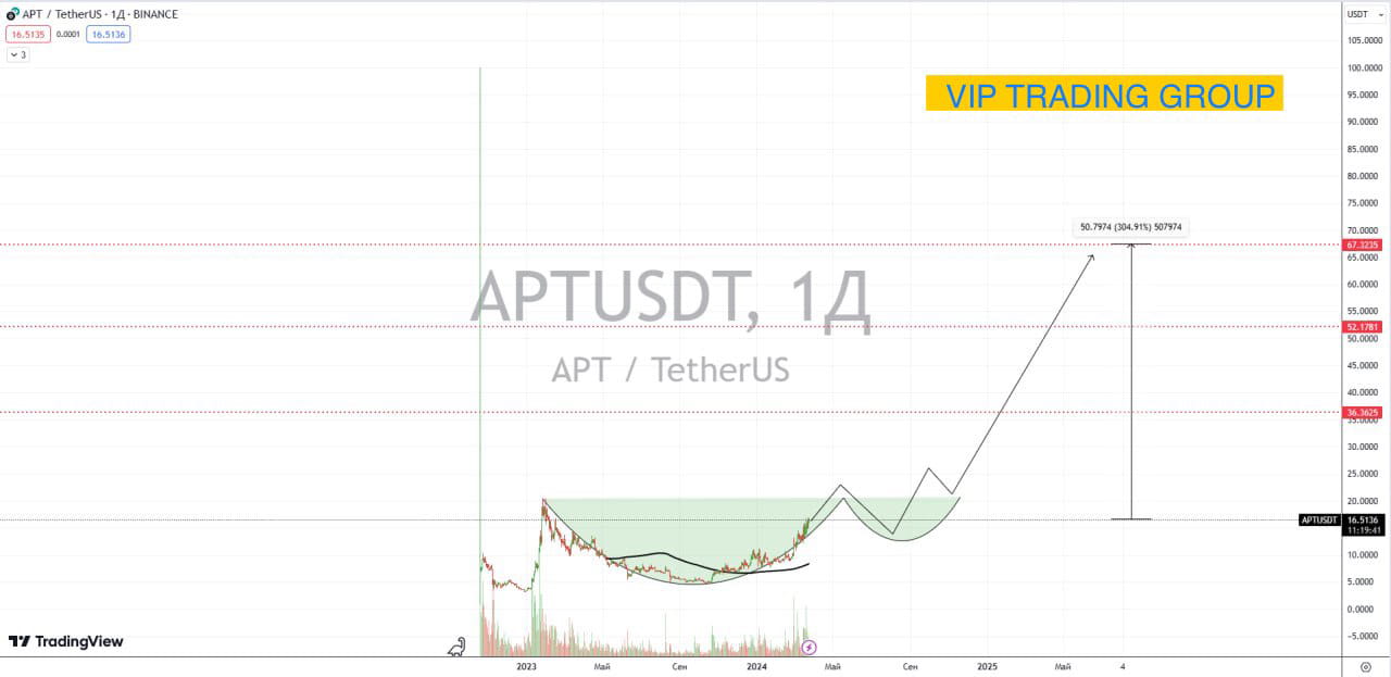 APT should be in your portfolio 💼 I've been holding a coin | VIP ...