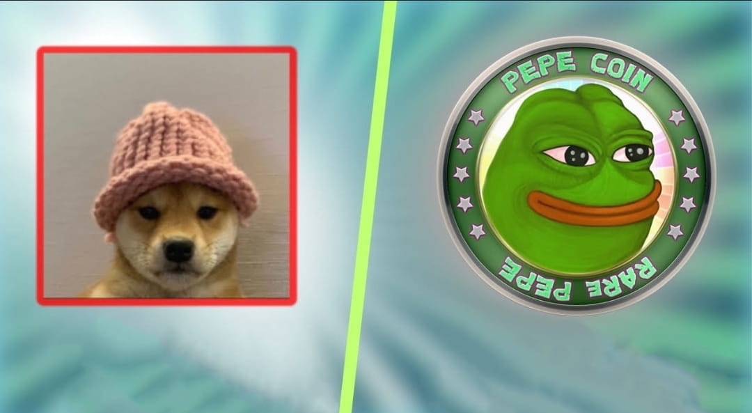 🔥🔥🔥Meme coin craze continues: PEPE and WIF put on the roc | Habz on ...