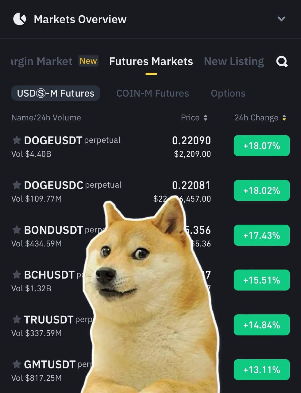$DOGE top one gainer on binance 🐶🐶 1$ is the minimum ta | Bit-Insight ...