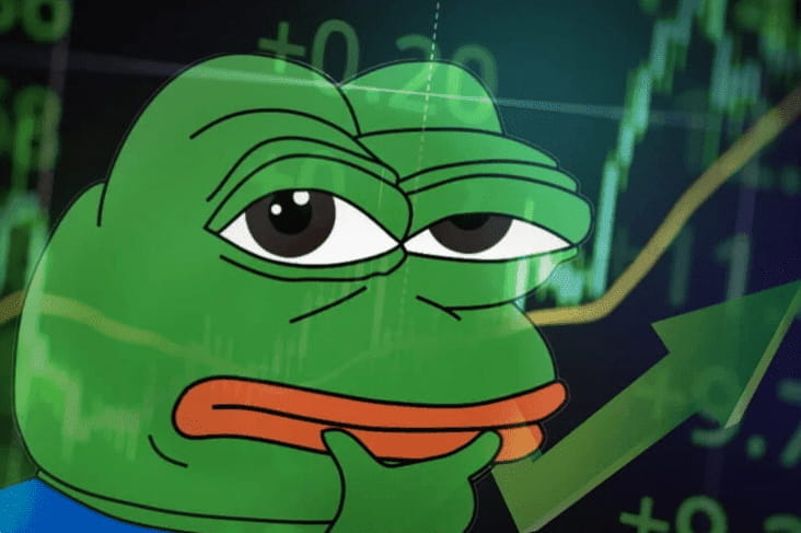 🚀 Could Pepe Reach $1 by 2024? Hold on tight because I'm pu | ElenaX on ...