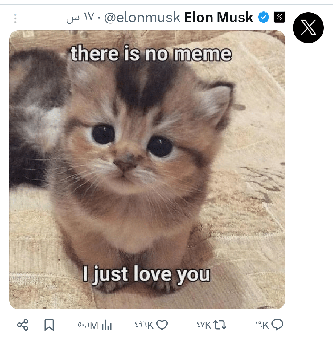 $DOGE Elon Musk just twitted before 10hours what did he mea | Charmaine ...