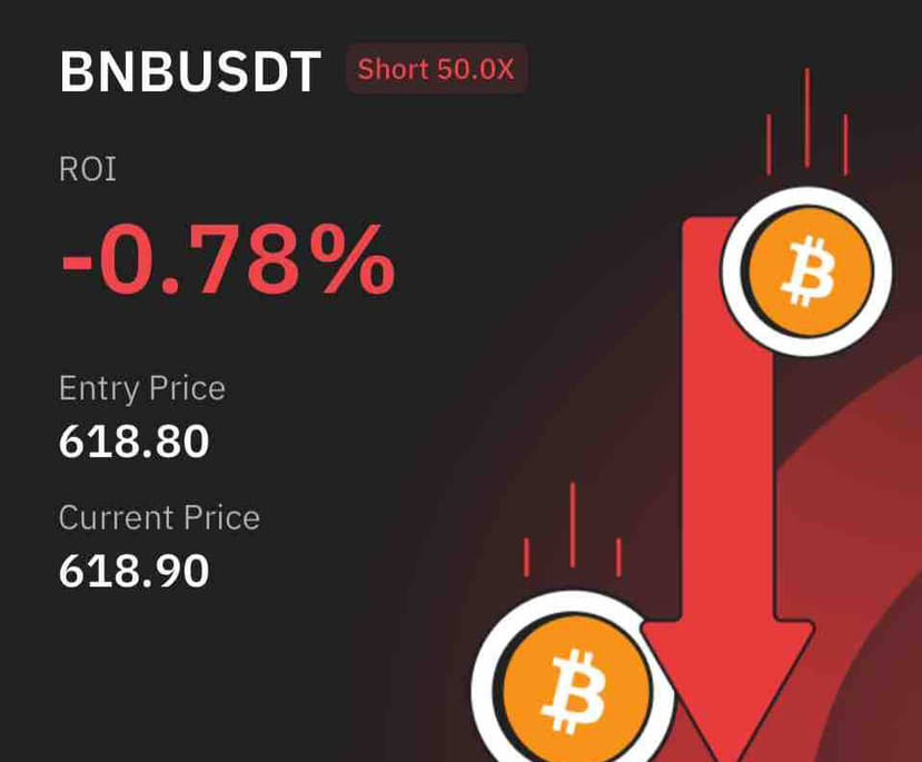 Short Bnb/usdt leverage-10x-20x-50x as per your amount Ta | Future ...