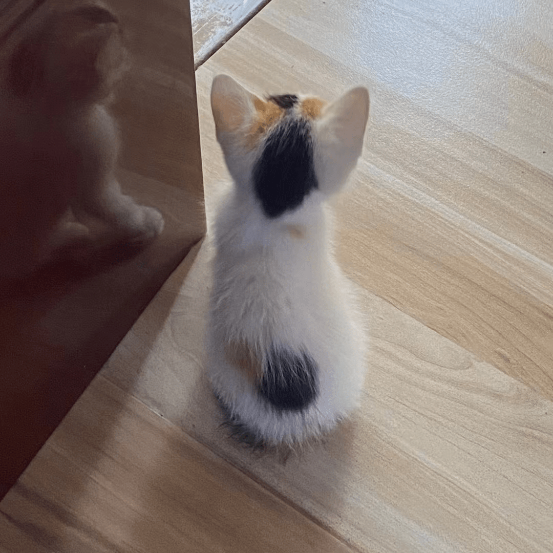 DWF labs's Profile | Binance Square