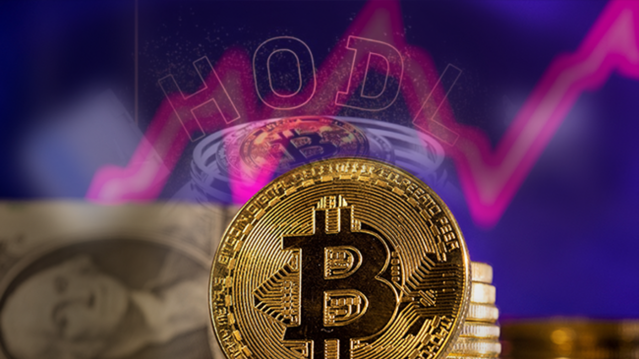 Bitcoin users to reach 1 billion by 2025: Predictions for future price ...