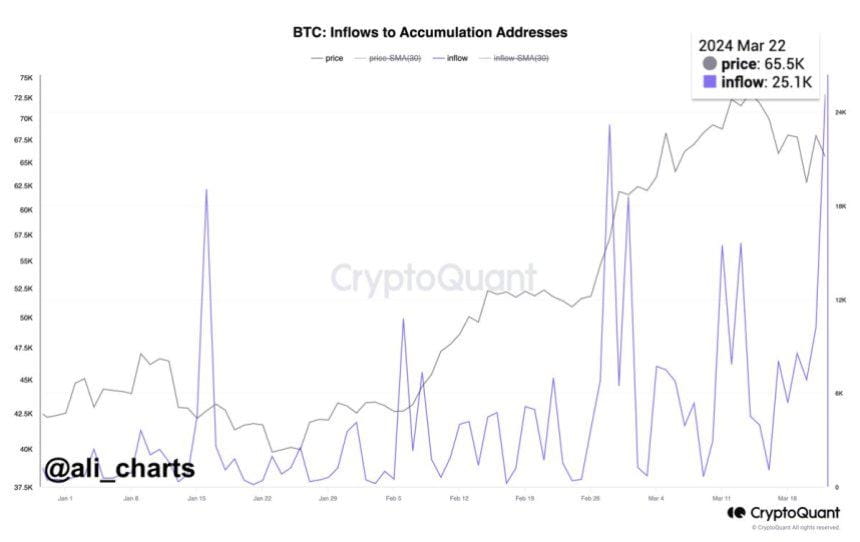 🚀Insane Surge: Bitcoin Wallets Swell by $1.6 Billion Overni ...