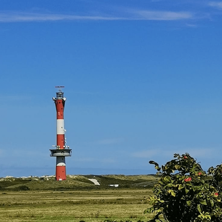 Perfil de datalux | Binance Square