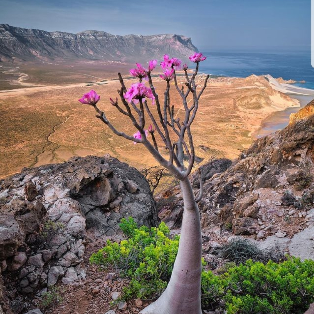 Synan Yasyn's Profile | Binance Square