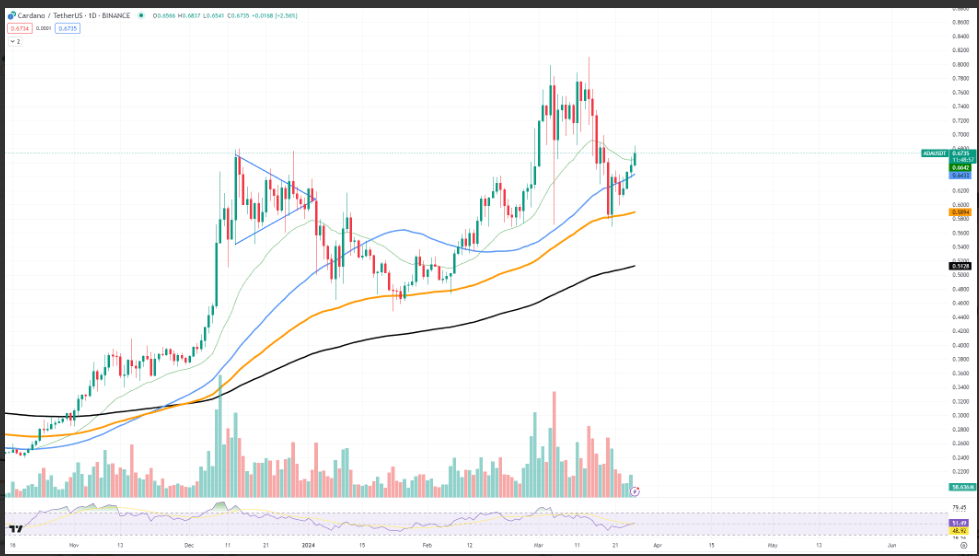 Cardano (ADA) Sees Whale Outflows: Why Are Big Players Leavi | Crypto Web3 Today on Binance Square
