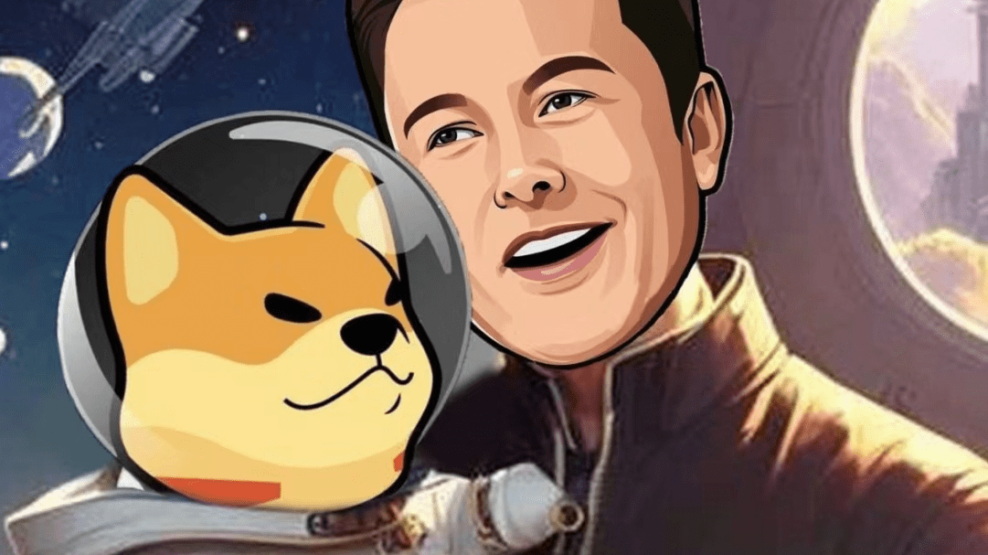 Bull market, a paradise for memes! Can doge, pepe and shib create new ...