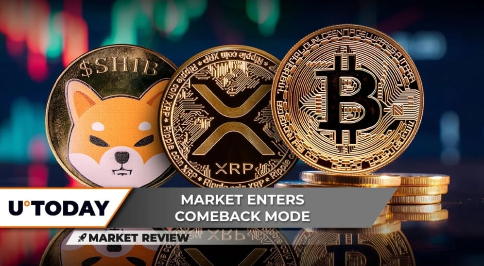 Shiba Inu (SHIB) vẽ ra mức cao hơn: Chi tiết, XRP Golden Cro | Avatar ...