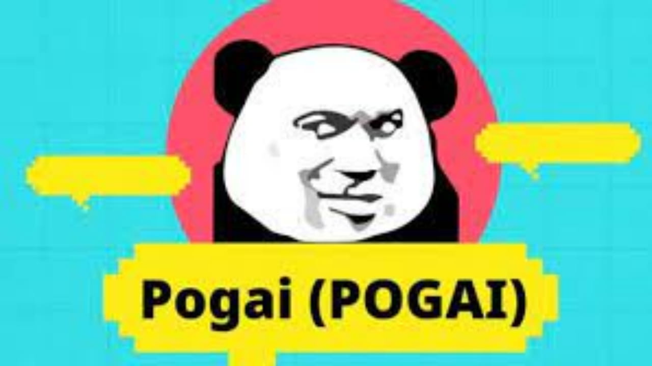 Pogai posted a tweet and raised more than 20 million yuan in private ...