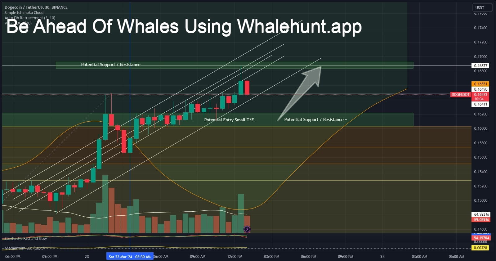 #DOGE Simplified View of some of my more confusing looking | Noshahi on ...