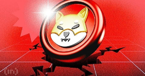 🔥🔥Very Important Update Shiba inu 🔥🔥 🎉🎉Here’s the | Alex Harrison on ...