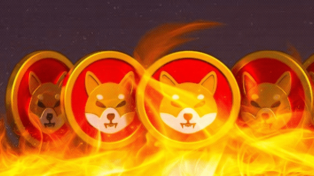Shiba Inu Coin Price Analysis As SHIB Burn Surges; Will It Reach $0.01 Amidst Bull Run? | Crypto ...