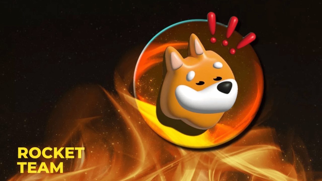 BONK Token: Review and is it worth investing? | Sasha why NOT on ...