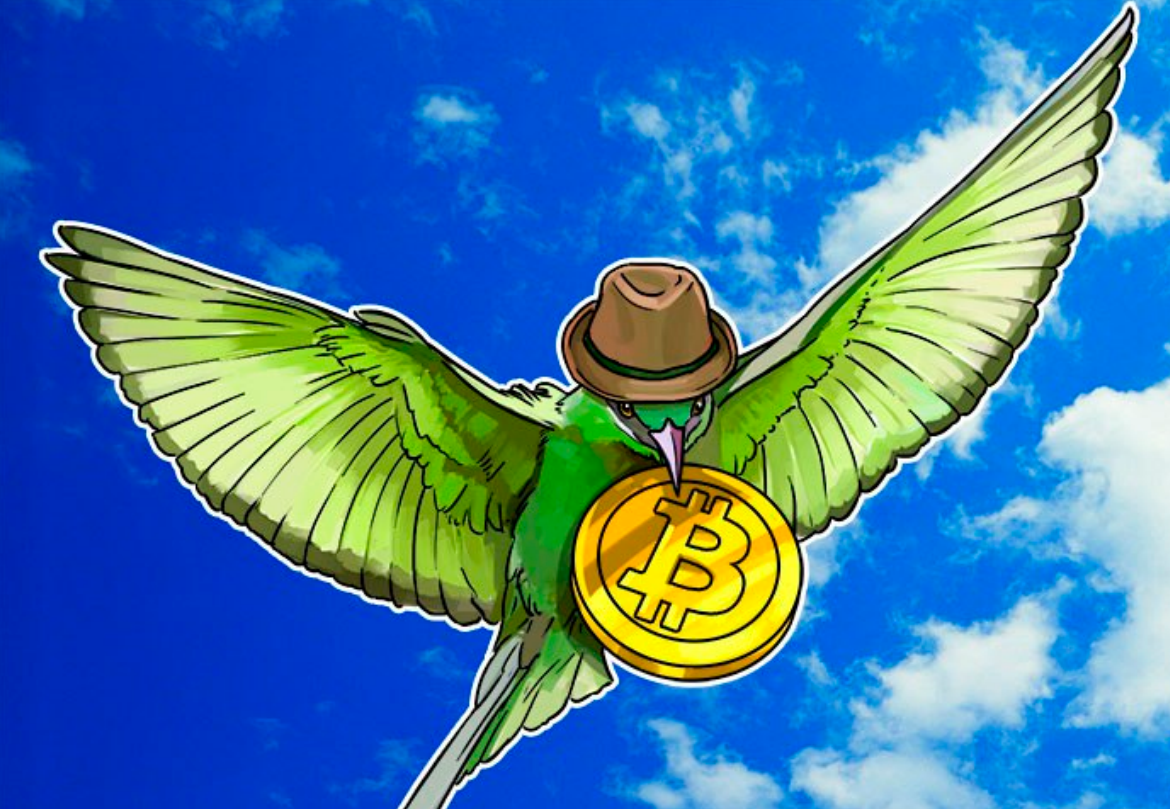 N4G's Profile | Binance Square