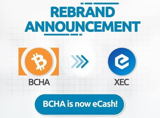 $XEC IS CRYPTO ASSETS... HOLD THIS COMPANY🔒 | Airbender_7BTC on Binance ...