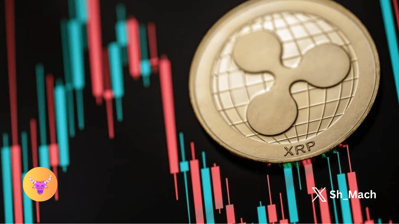 $1,000 invested in XRP at start of 2024 returned | Kri on Binance Square