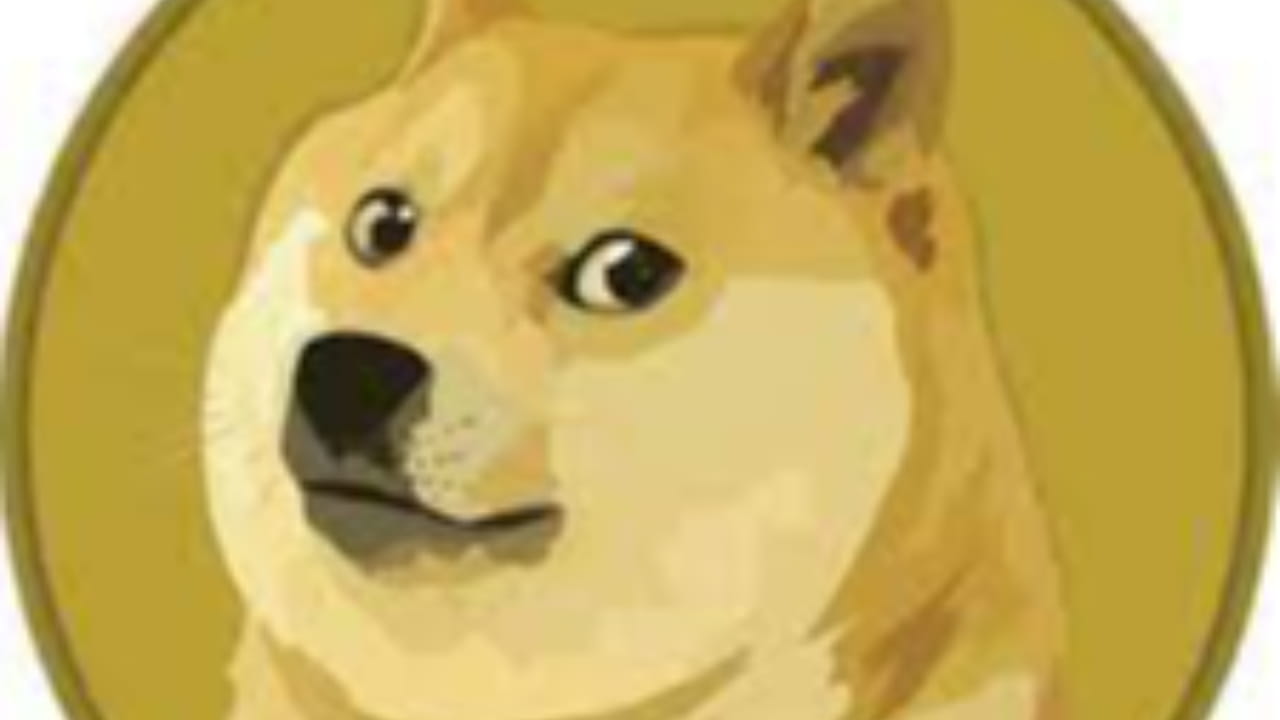 Dogecoin: A fusion between community power and digital currency ...