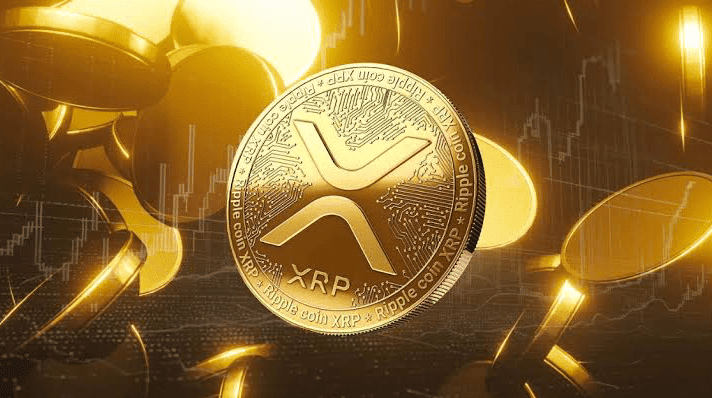#xrp Turn your 10$ to 10000$ by investing in XRP coin 🤑 XRP | Daniel ...