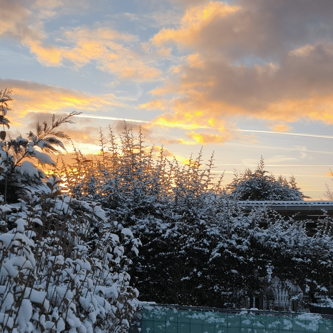 Jimbow's Profile | Binance Square