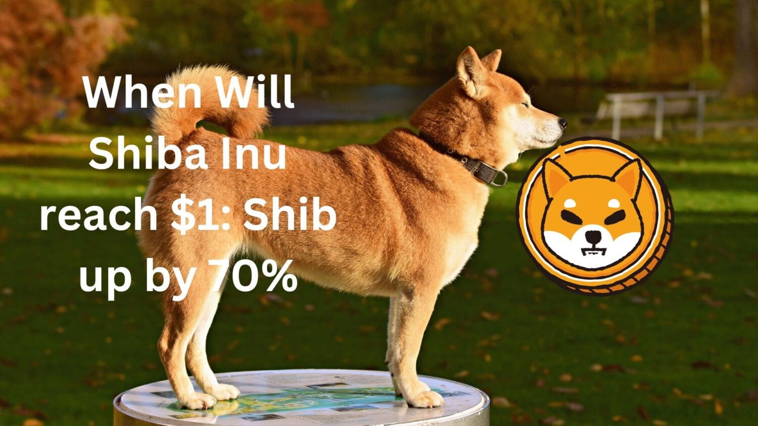 When The Shiba Inu Reach 1 $ ? Abstract: WhSHIBer or not Shi | Crypto ...