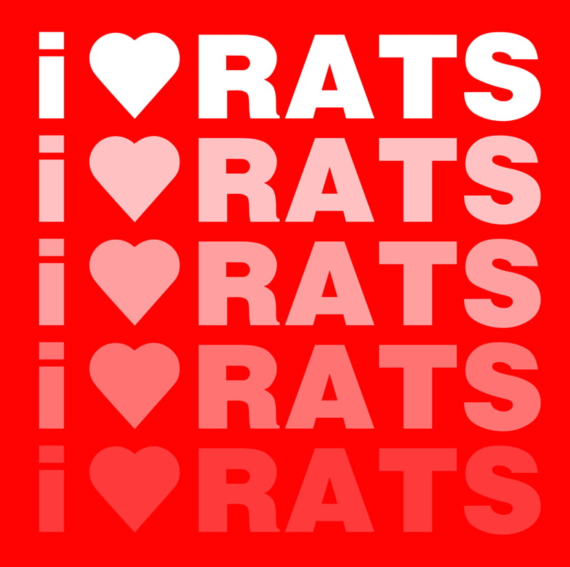#RATS = DOGE $RATS IS NEW DOGE！ $RATS 是下一个狗狗币！ $RATS #Brc20 | SothoRats ...