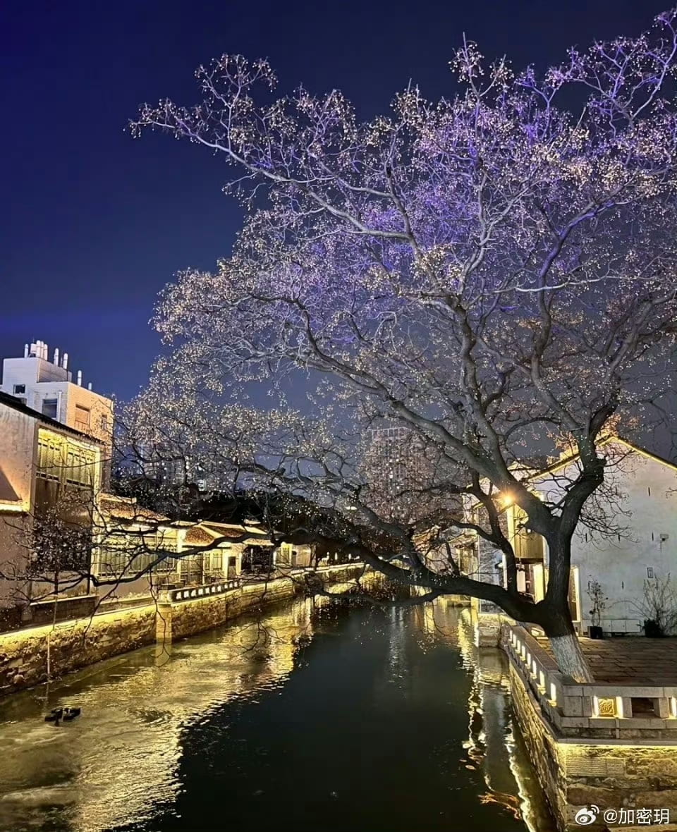 Yang Jiang once mentioned: "If you have something in your he | 加密玥 on ...