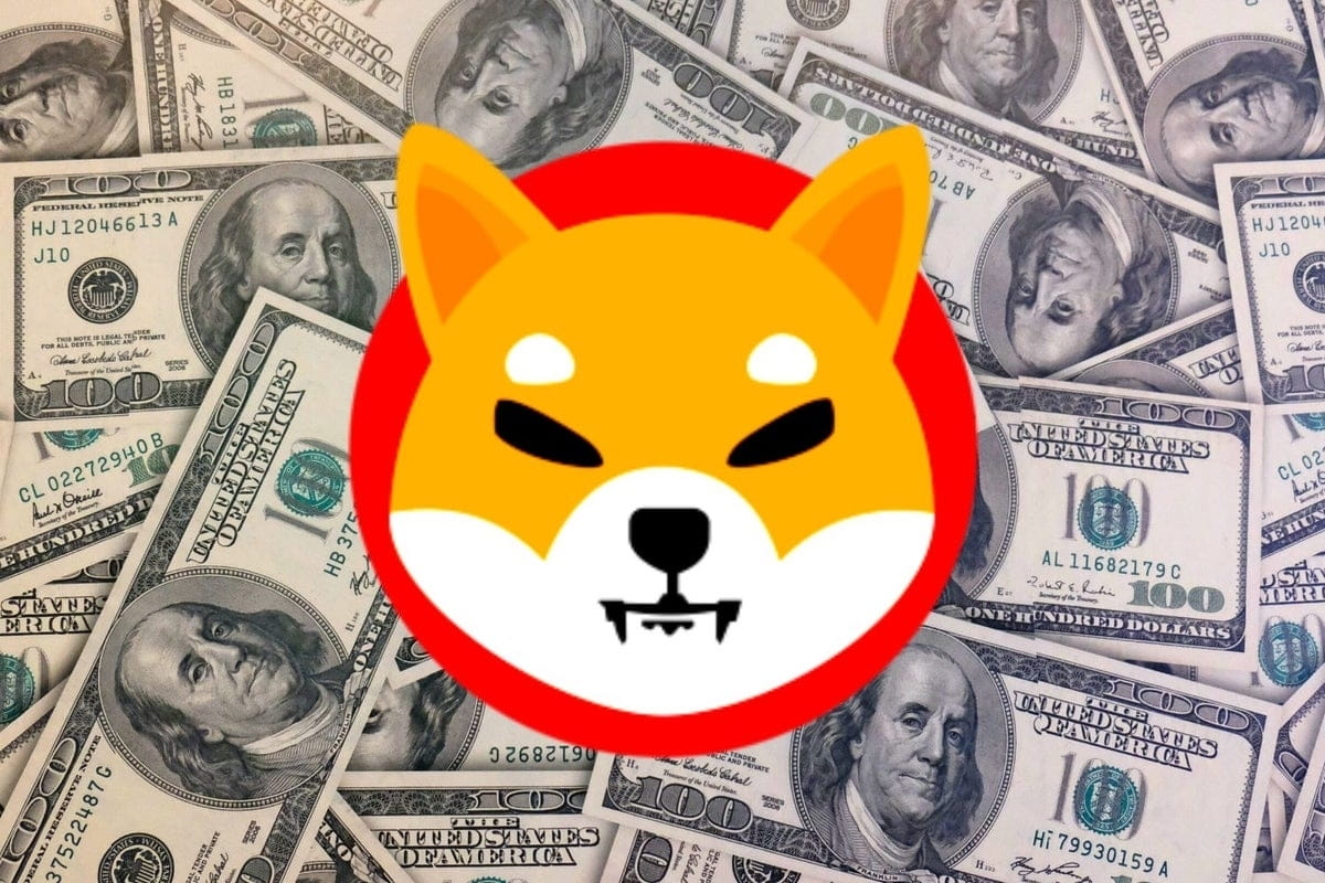 Here's how much $100 invested in Shiba Inu on Jan. 1, 2021 w | CryptoMasterMindX on Binance Square