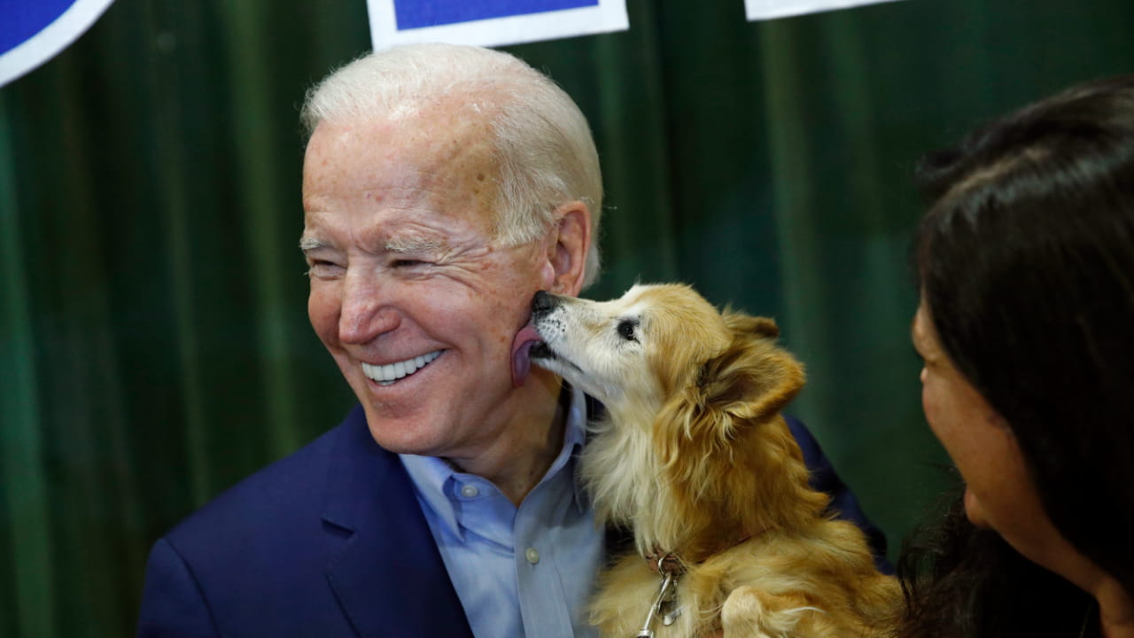 WHERE DOES JOE BIDEN INVEST? Shiba INU OR DOGE? | Sasha why NOT on ...
